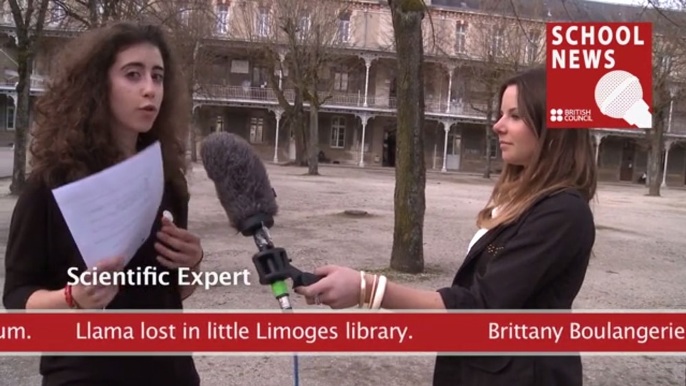 Teach English with science - lesson plans and worksheets | British ...