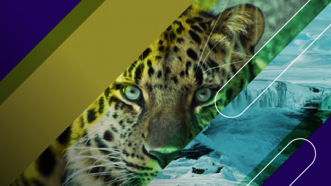 Youth Connect | Climate Change | British Council France