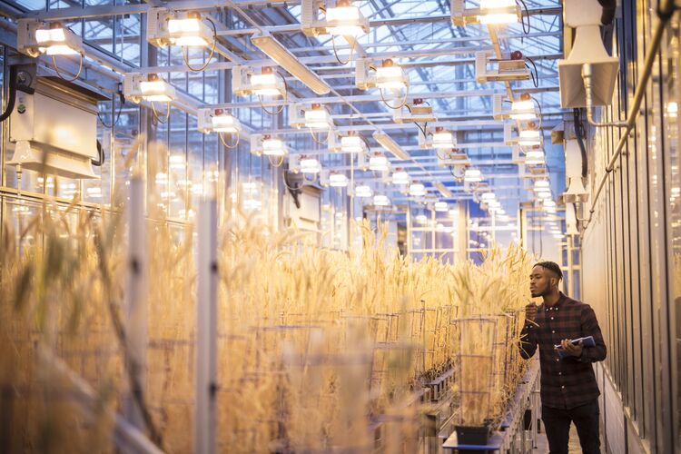 Springboard Programme for UK-France partnerships | British Council France