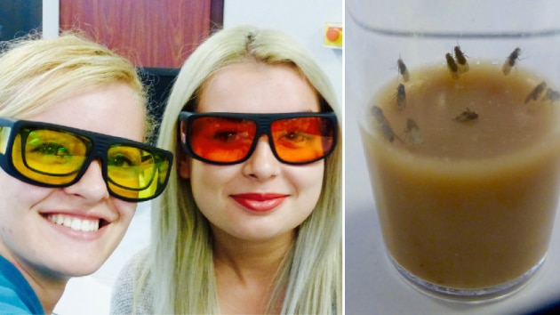 Learning through Zombie science | British Council France